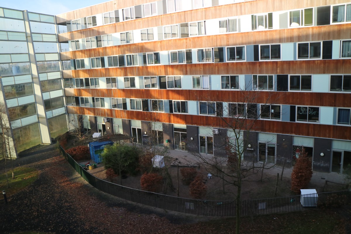 A Guide to Choosing a Room in the Dorms – The Herring